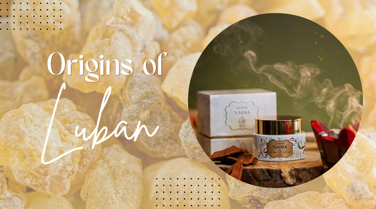 Oman's Frankincense Trail: Tracing the Origins of Luban
