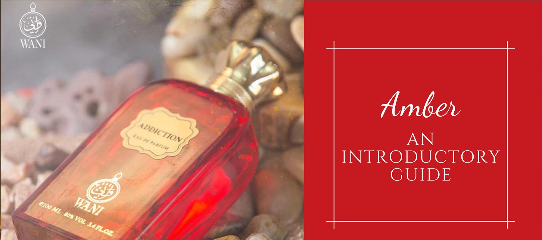 What is Amber in Perfumes? An Introductory Guide